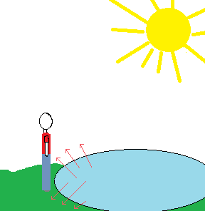 Describing the Wave Behavior of Light Practice | Physics Practice ...