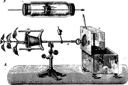 Plant's Response to Gravity | Positive & Negative Gravitropism - Lesson ...