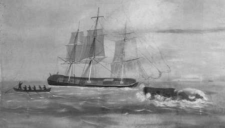 The Essex Route, Legacy & Inspiration for Moby-Dick | Study.com