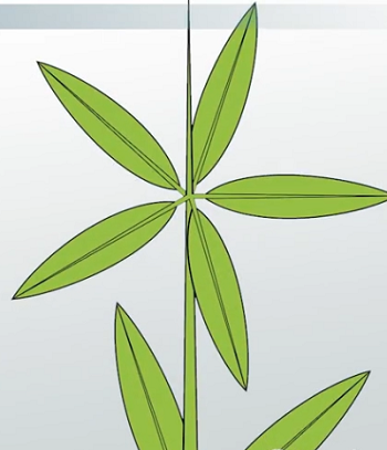 Angiosperms Definition, Types & Examples - Lesson | Study.com