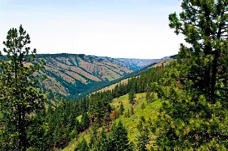 Oregon Fever | Manifest Destiny, Gold Rush & Panic of 1837 | Study.com