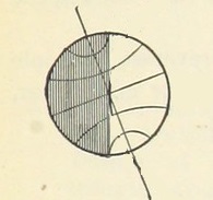 Identifying Seasons Based on Earth's Tilt & Location in the Earth-Sun ...