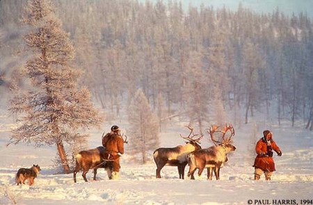 Siberian People | Population, Tribes & Life | Study.com