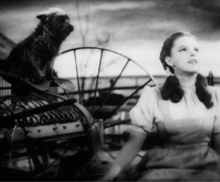 Narrative Film Definition, History & Examples - Lesson | Study.com