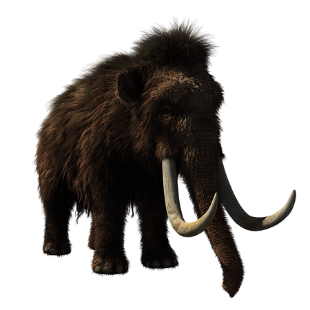 Beringia | Definition, Theory & Location - Lesson | Study.com