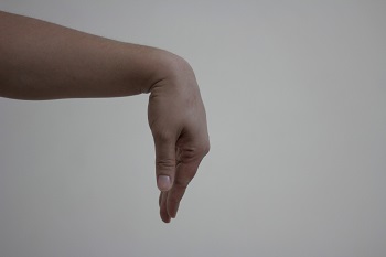 Flexor Carpi Ulnaris: Definition, Location & Function | Study.com