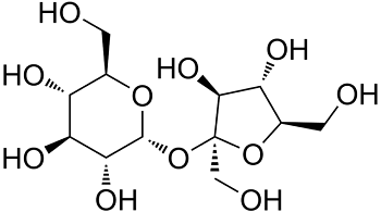 Polymerization Overview, Process & Examples - Lesson | Study.com