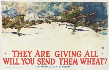 Analyzing WWI-Era Posters of the U.S. Homefront Practice | U.S. History ...