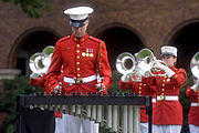 Percussion Instruments | Definition, Function & Examples - Lesson ...