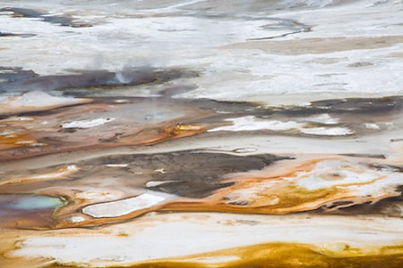 Thermophiles | Definition & Examples - Lesson | Study.com