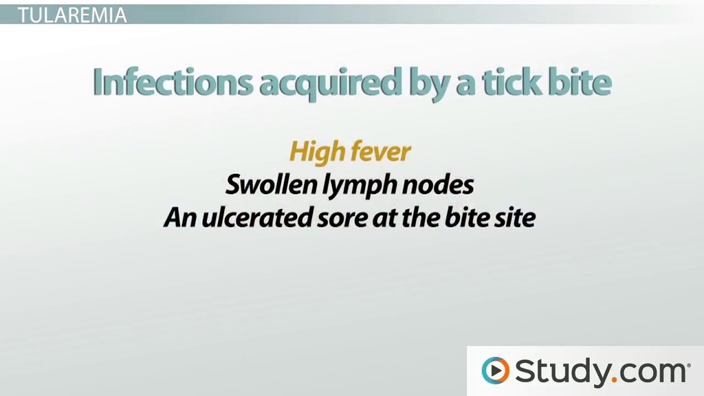 Tularemia: Infections Caused by Francisella tularensis - Lesson | Study.com