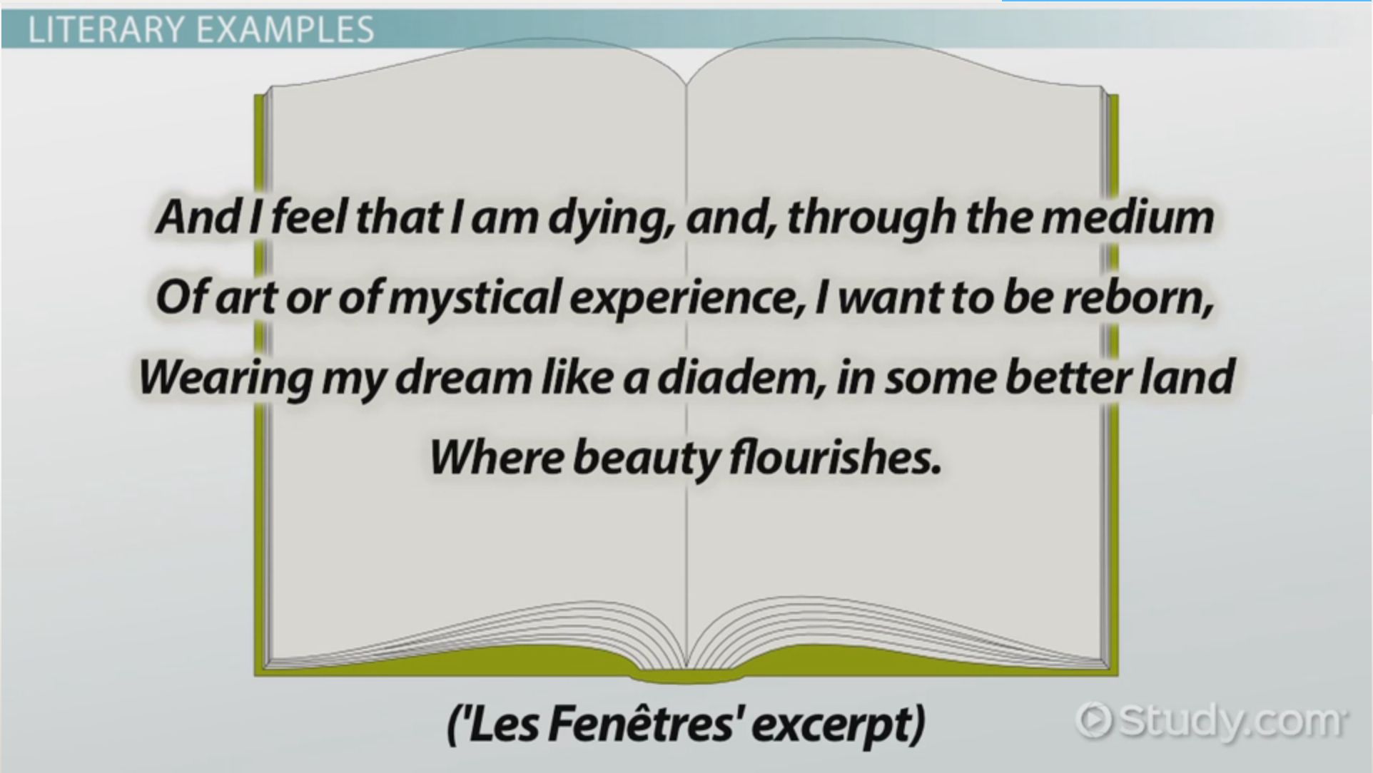  Literary Description Examples Character Definition And Examples In 
