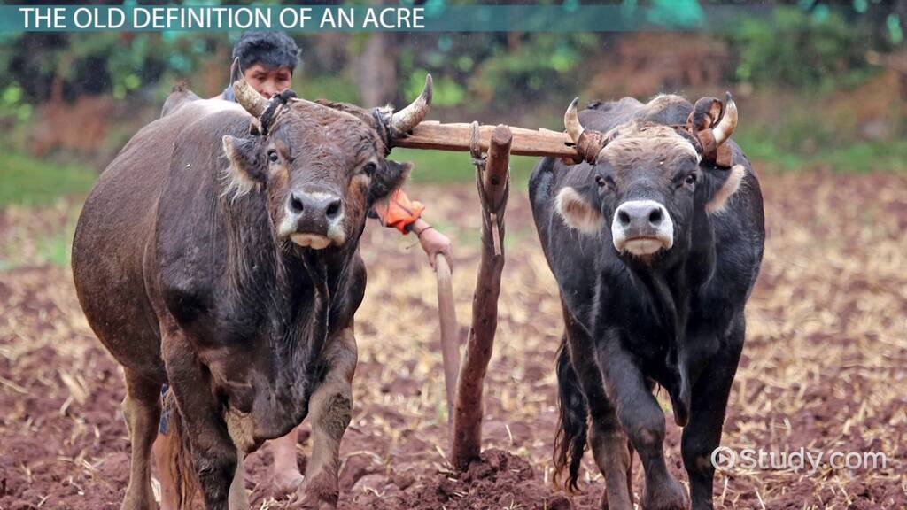 Acre | Definition, Area & Measurement - Lesson | Study.com