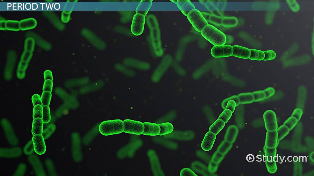 Scarlet Fever History Symptoms Significance Lesson Study Scarlet Fever History Symptoms Significance Lesson Study