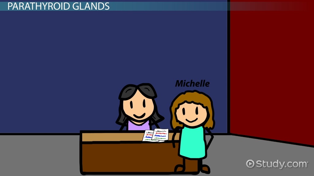 Parathyroid Gland & its Disorders - Lesson | Study.com