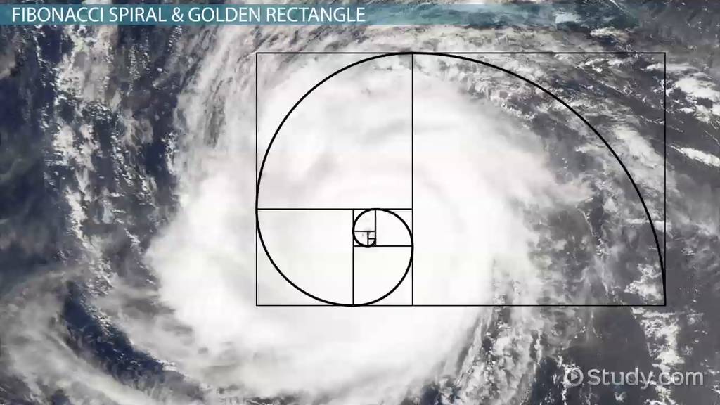Golden Rectangle Equation Examples Video Lesson Transcript Golden Rectangle Equation Examples Video Lesson Transcript