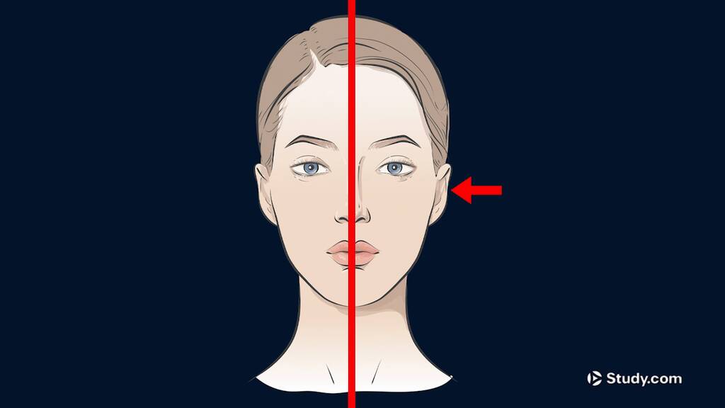 Asymmetrical Shape Overview & Examples - Lesson | Study.com