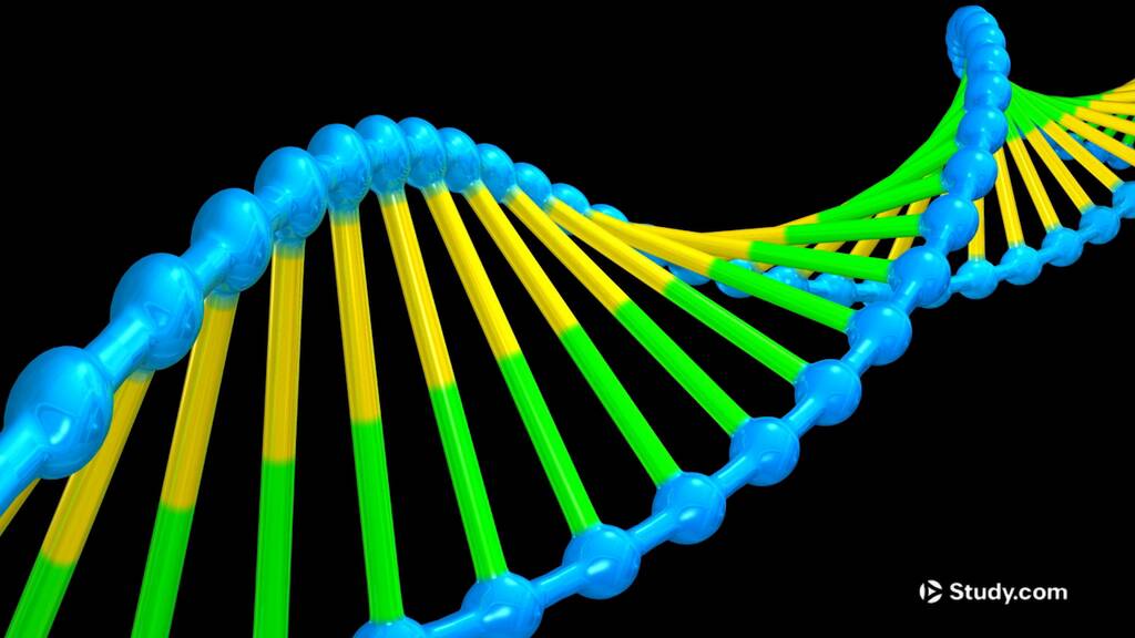 Heritable Traits Overview, Examples & Importance - Video | Study.com
