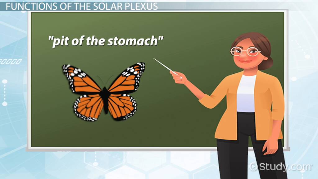 Solar Plexus Injury: Symptoms & Treatment - Lesson | Study.com