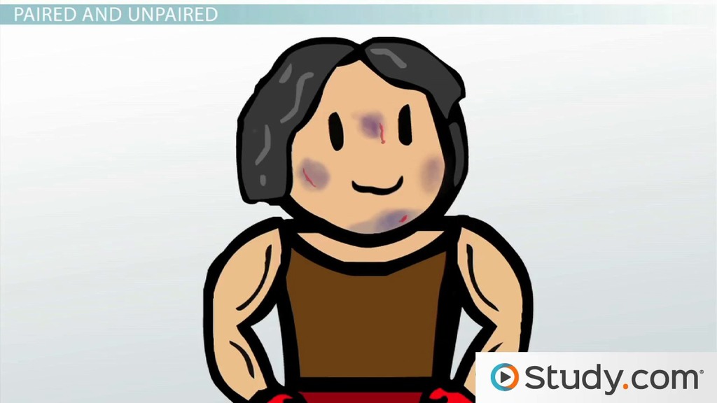 Bones of the Face Anatomy | Names, Functions & Location - Lesson ...