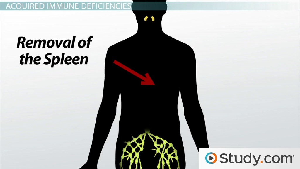 Acquired Immune Deficiencies - Lesson | Study.com