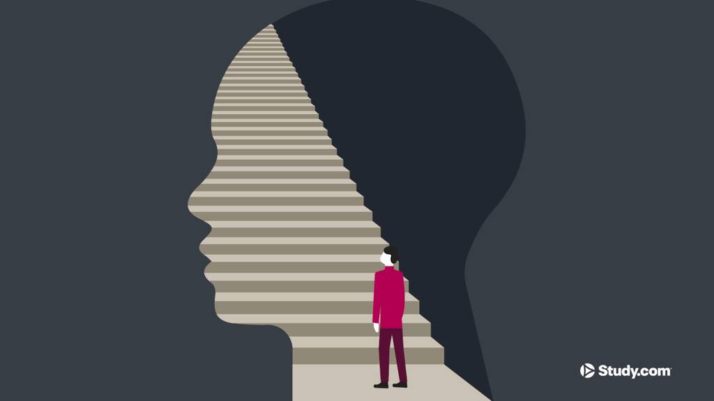 Insula Function & Location - Lesson | Study.com