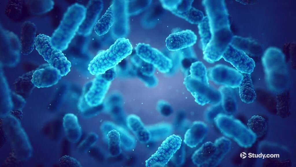 Biological Contamination | Overview, Sources & Examples - Lesson ...