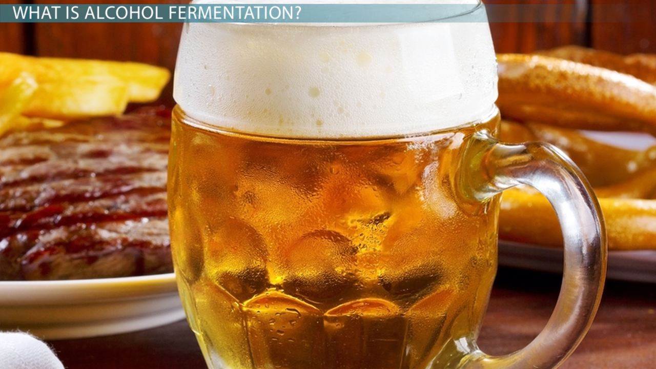 Alcoholic Fermentation Definition Equation Process Video Alcoholic Fermentation Definition Equation Process Video