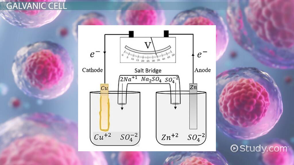 Galvanic vs. Electrolytic Cells | Definition & Diagrams - Lesson | Study.com