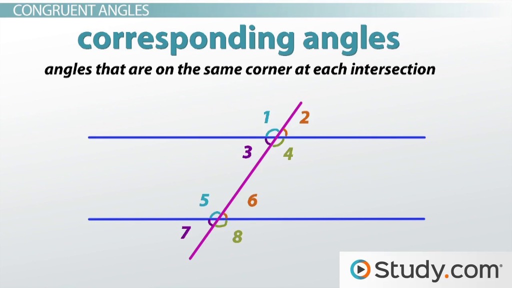 Parallel Lines And Transversals Definition Diagrams Video Parallel Lines And Transversals Definition Diagrams Video