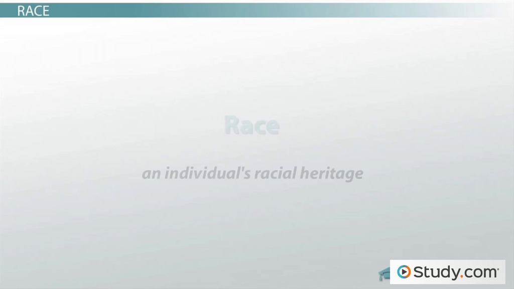 Diversity in the Workplace | Definition & Importance - Video | Study.com