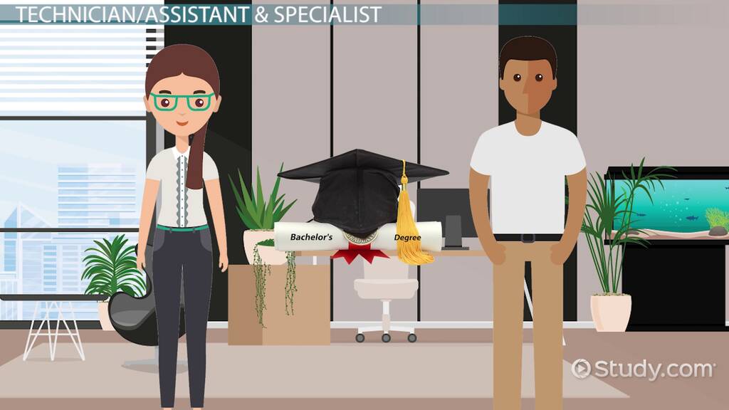 Payroll Staff: Roles & Responsibilities - Lesson | Study.com