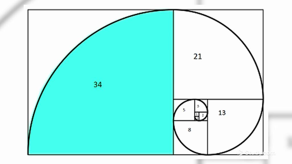 Phyllotaxis & Fibonacci Sequence | Facts, Patterns & Examples - Video ...