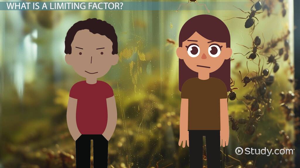 Limiting Factors Worksheet 5th Grade Free Math Worksheets