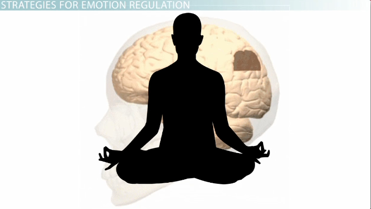 Emotion Regulation: Definition, Theory & Strategies - Video & Lesson ...