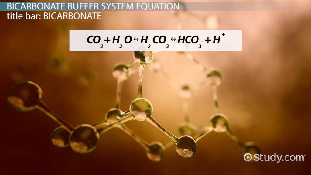 Bicarbonate Buffer System Overview Equation Uses Video Lesson Bicarbonate Buffer System Overview Equation Uses Video Lesson