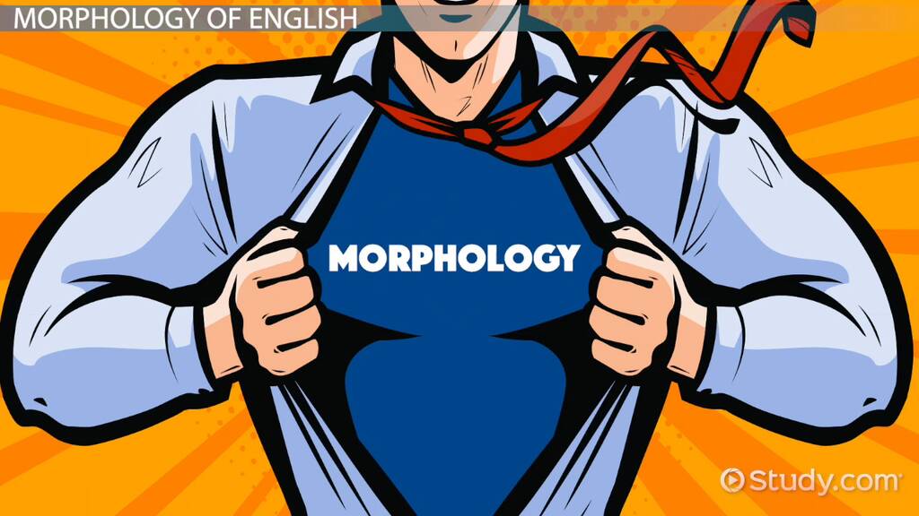 Morphology of English: Definition & Studies - Lesson | Study.com