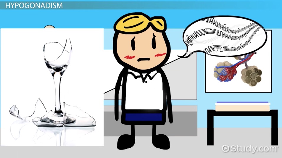 Problems & Treatments of the Gonads - Lesson | Study.com