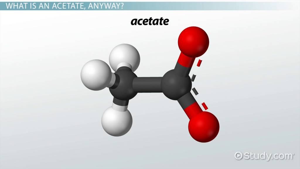 Ethyl Acetate Lewis Structure