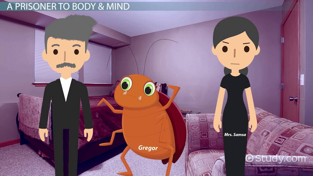 Metaphor in The Metamorphosis - Lesson | Study.com