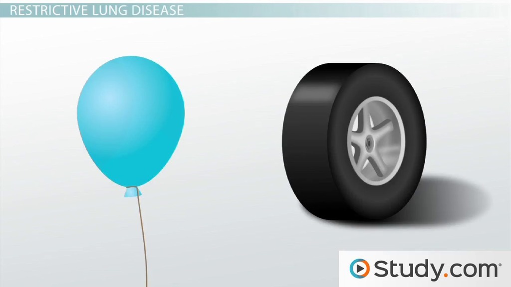 Respiratory Diseases Overview | Obstructive vs. Restrictive - Video ...