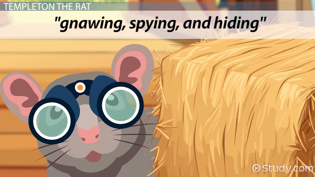 Templeton in Charlotte's Web | Character Analysis & Quotes - Lesson ...