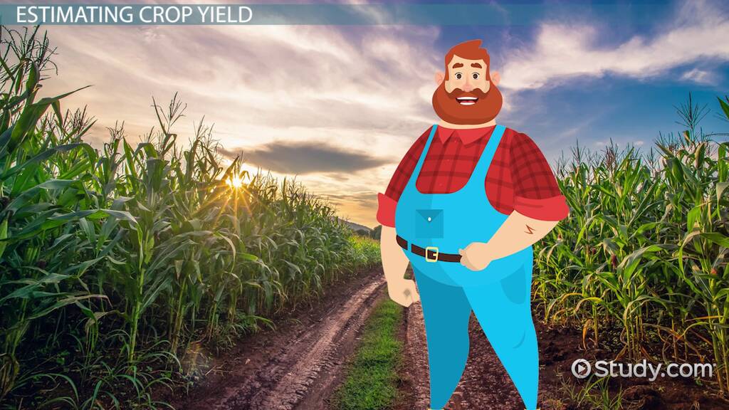 Crop Yield | Definition & Importance - Video | Study.com