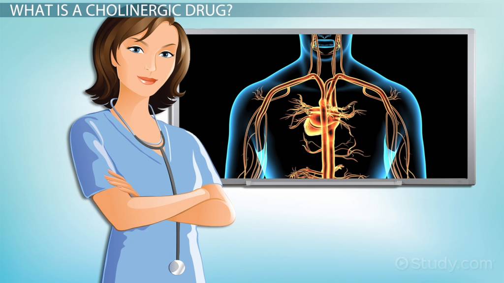 Cholinergic Drugs: Definition, Classification & Examples - Lesson ...