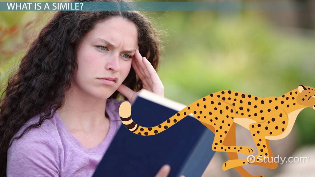 Simile vs. Metaphor | Differences, Usage & Examples - Video | Study.com