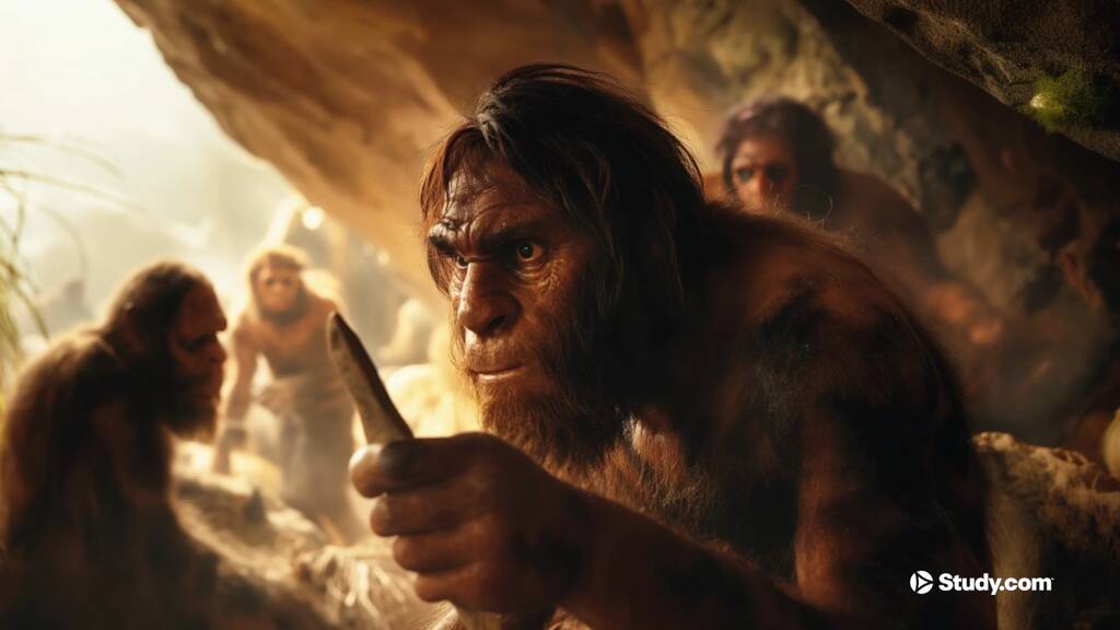 Homo Sapiens | Definition, History & Evolution - Lesson | Study.com