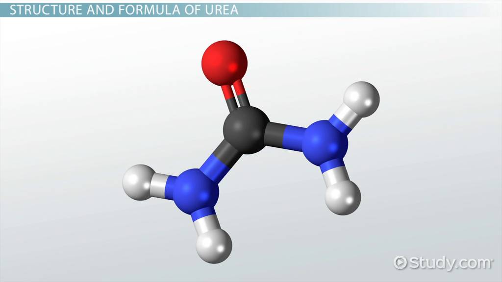 Urea Structure Formula Uses Lesson Study
