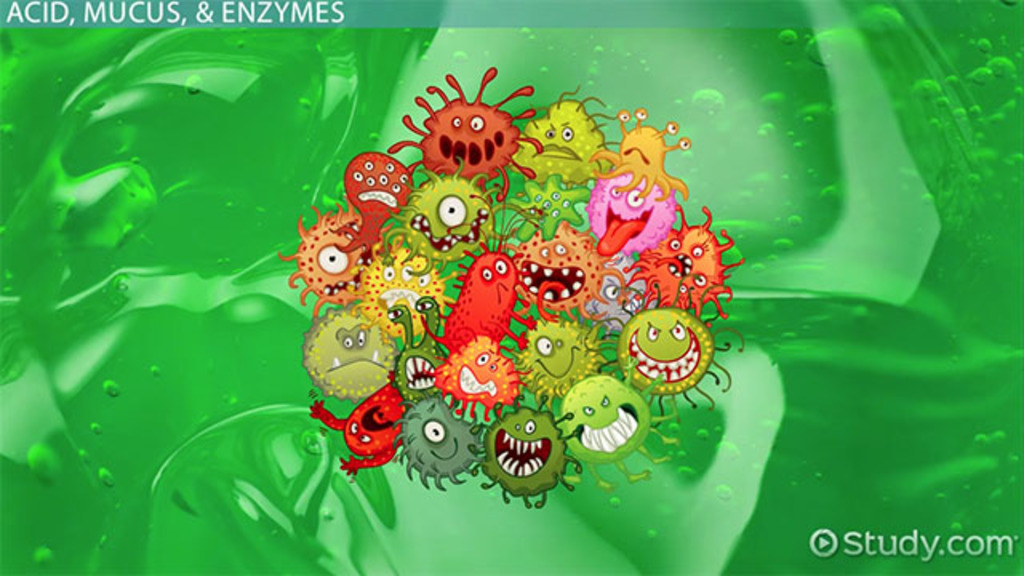 Physiological Responses to Infection - Lesson | Study.com