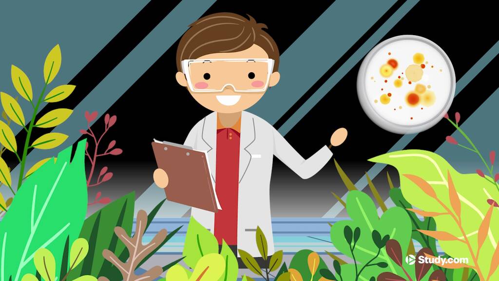 Anoxic | Definition, Environment & Conditions - Lesson | Study.com
