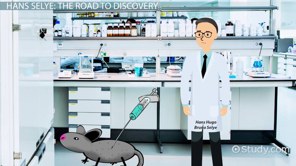 Hans Selye | Biography, Stress Theory & Legacy - Lesson | Study.com